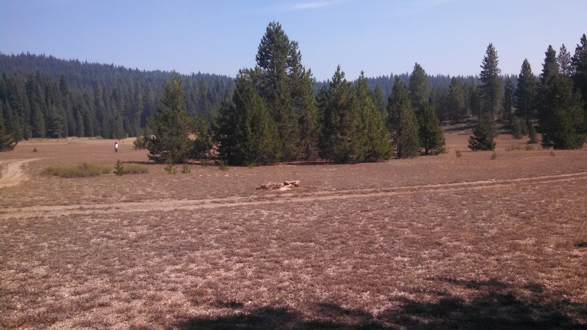 Origer's Obsidian Laboratory